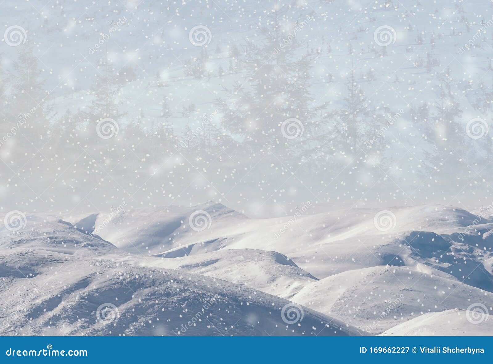 Winter Landscape with Falling Snow Stock Image - Image of xmas, cold ...