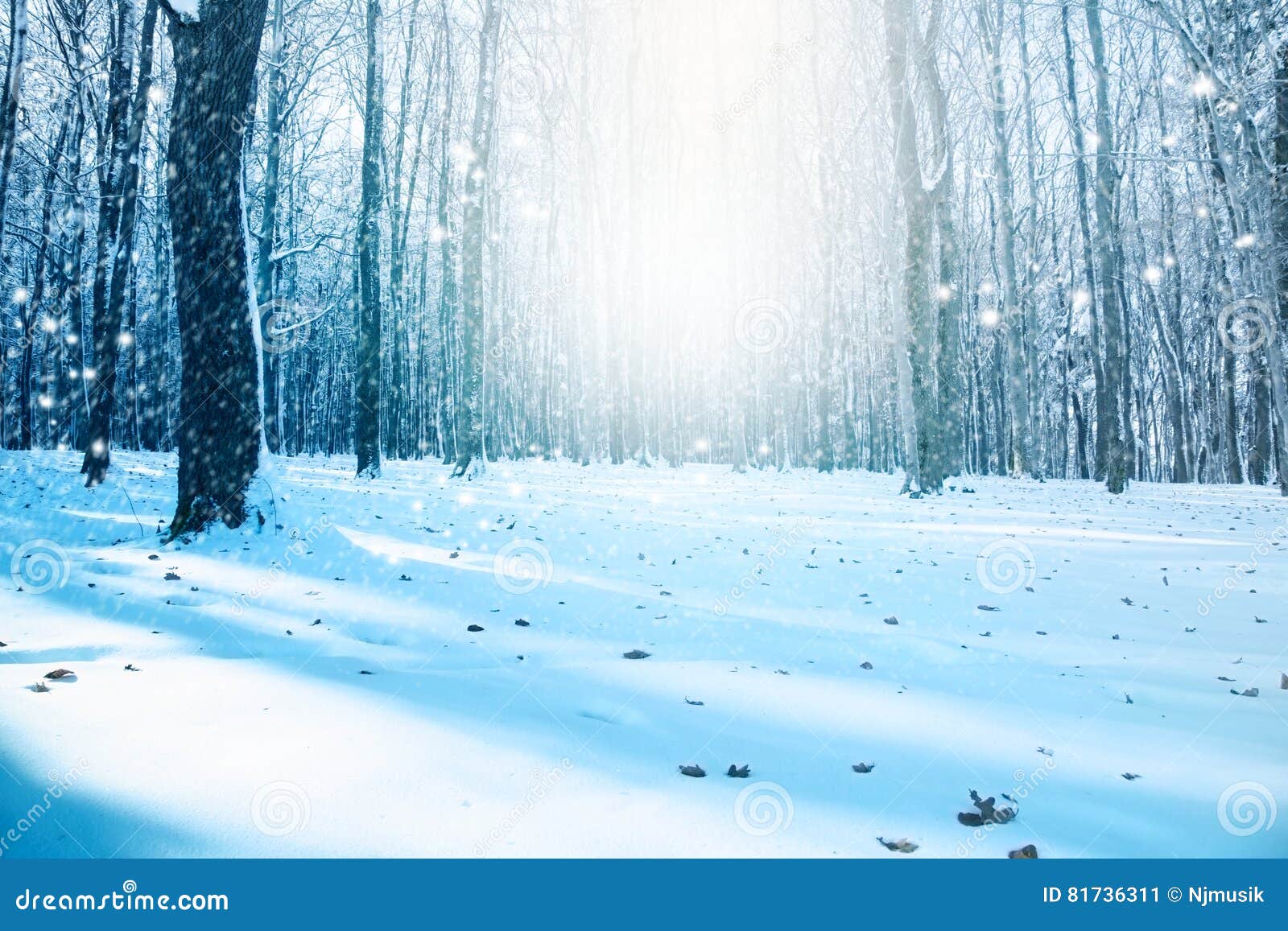 Winter Landscape with Falling Snow Stock Image - Image of abstract ...