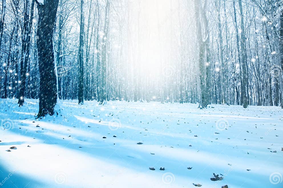 Winter Landscape with Falling Snow Stock Image - Image of abstract ...