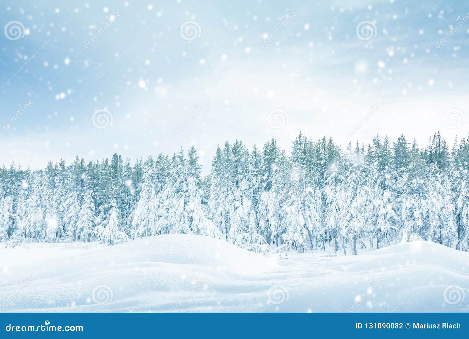 Winter Landscape with Falling Snow Stock Photo - Image of landscape ...