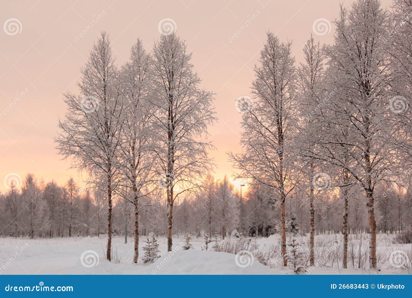 Winter Landscape in Finland Stock Image - Image of finland, snow: 26683443
