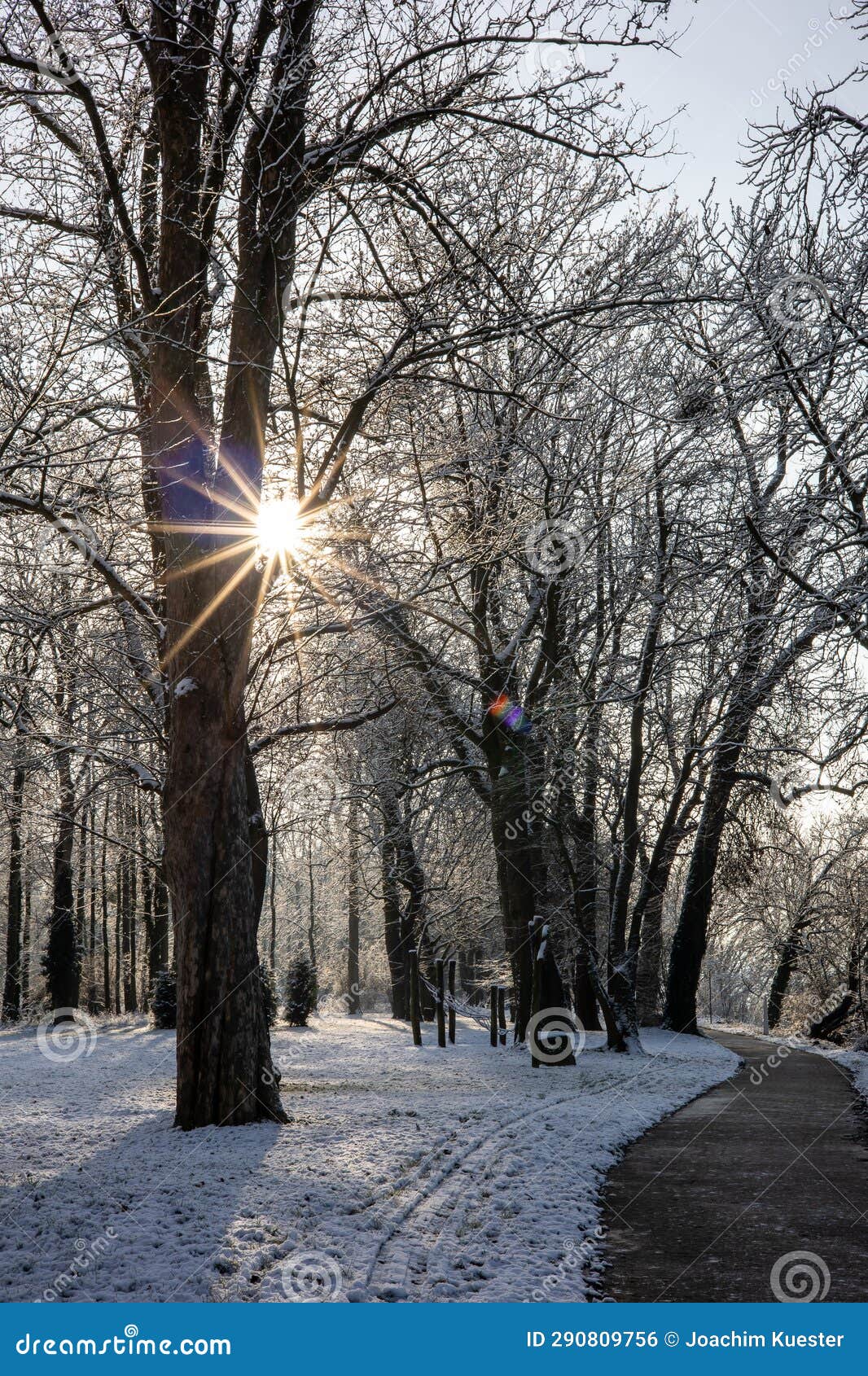 A Winter Landscape with a Footpath in a Forest with Snow in the Sun ...