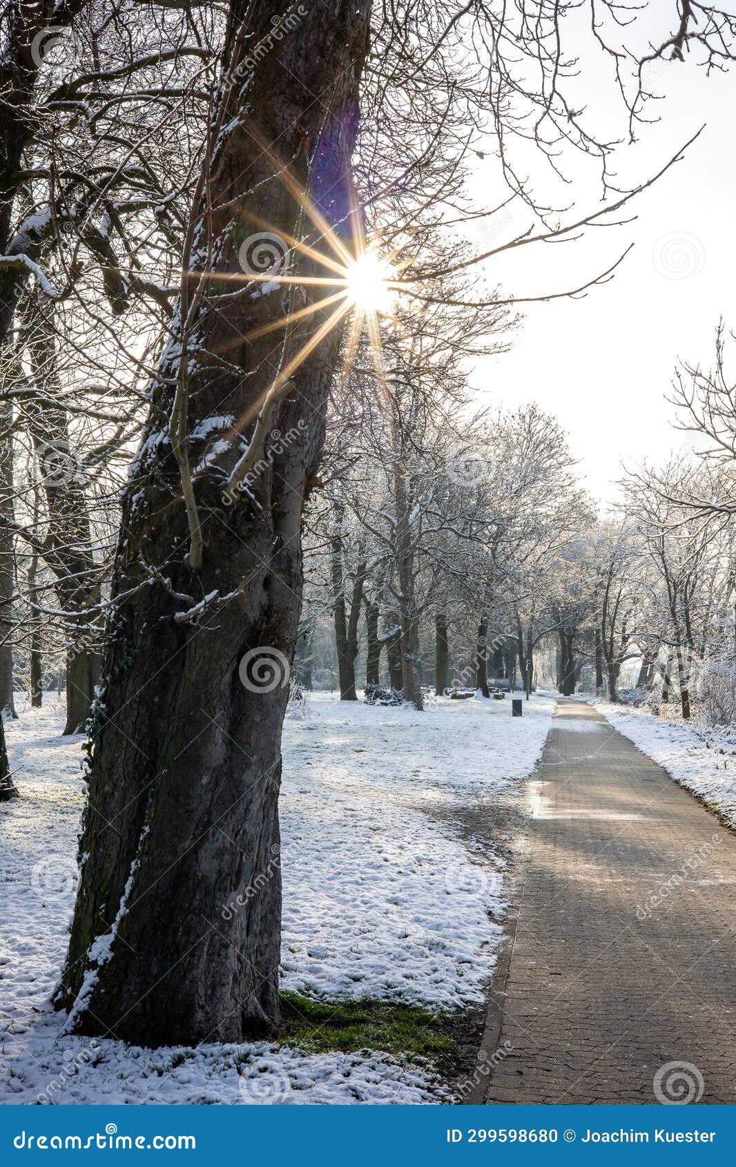 A Winter Landscape with a Footpath in a Forest with Snow in the Sun ...