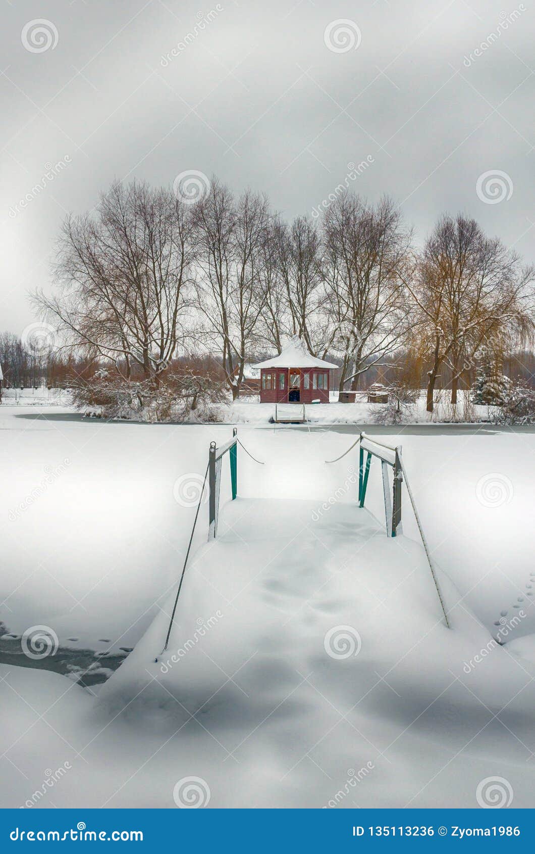 The Winter Landscape with Forest, Lake in the Bad Weather Condition ...