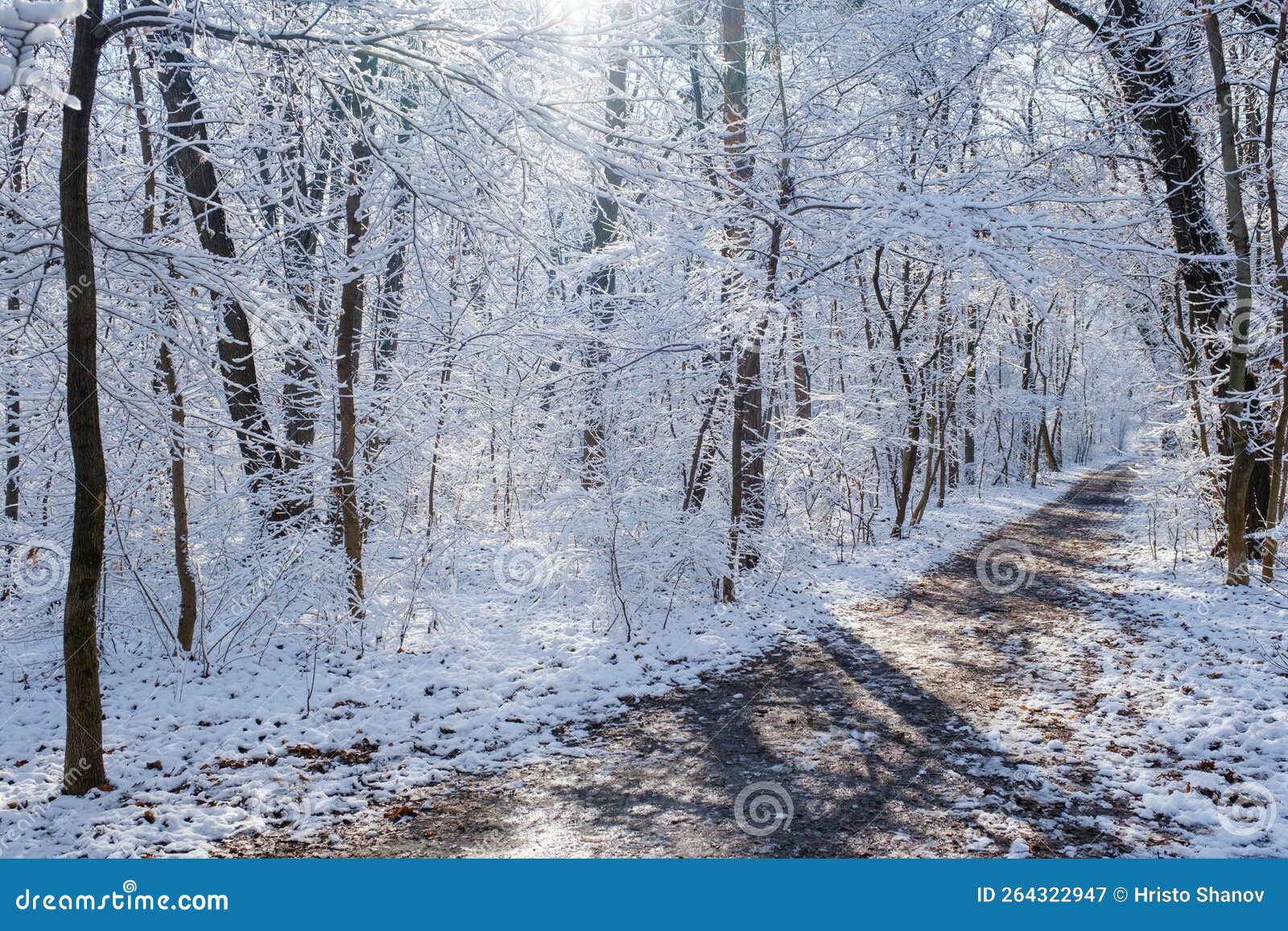 Winter Landscape with with Fresh Powder Snow and Trees Stock Image ...