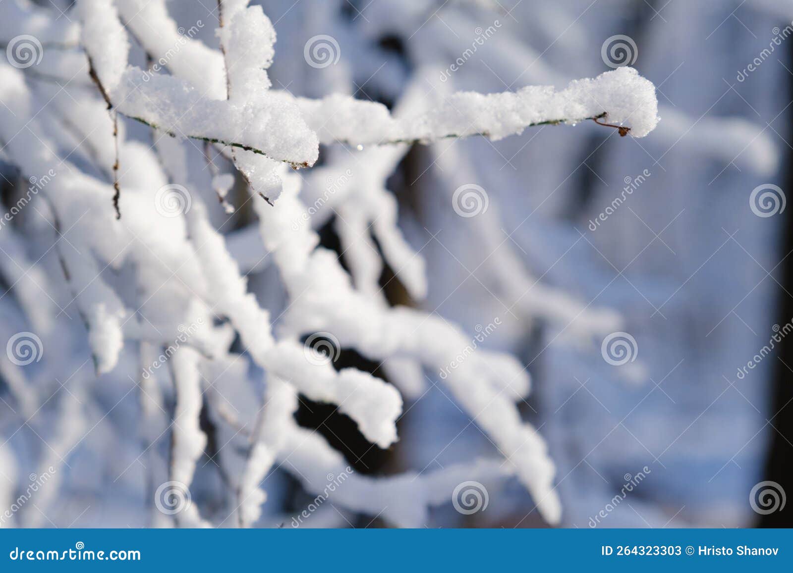 Winter Landscape with with Fresh Powder Snow and Trees Stock Image ...
