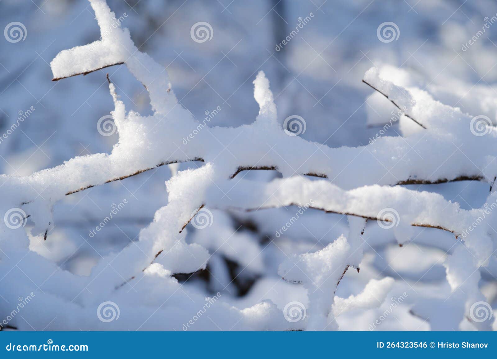Winter Landscape with with Fresh Powder Snow and Trees Stock Photo ...