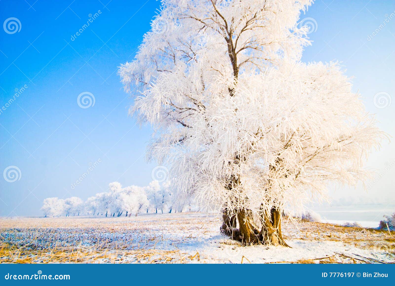 Winter Landscape with Frosted Trees Stock Image - Image of forest, road ...