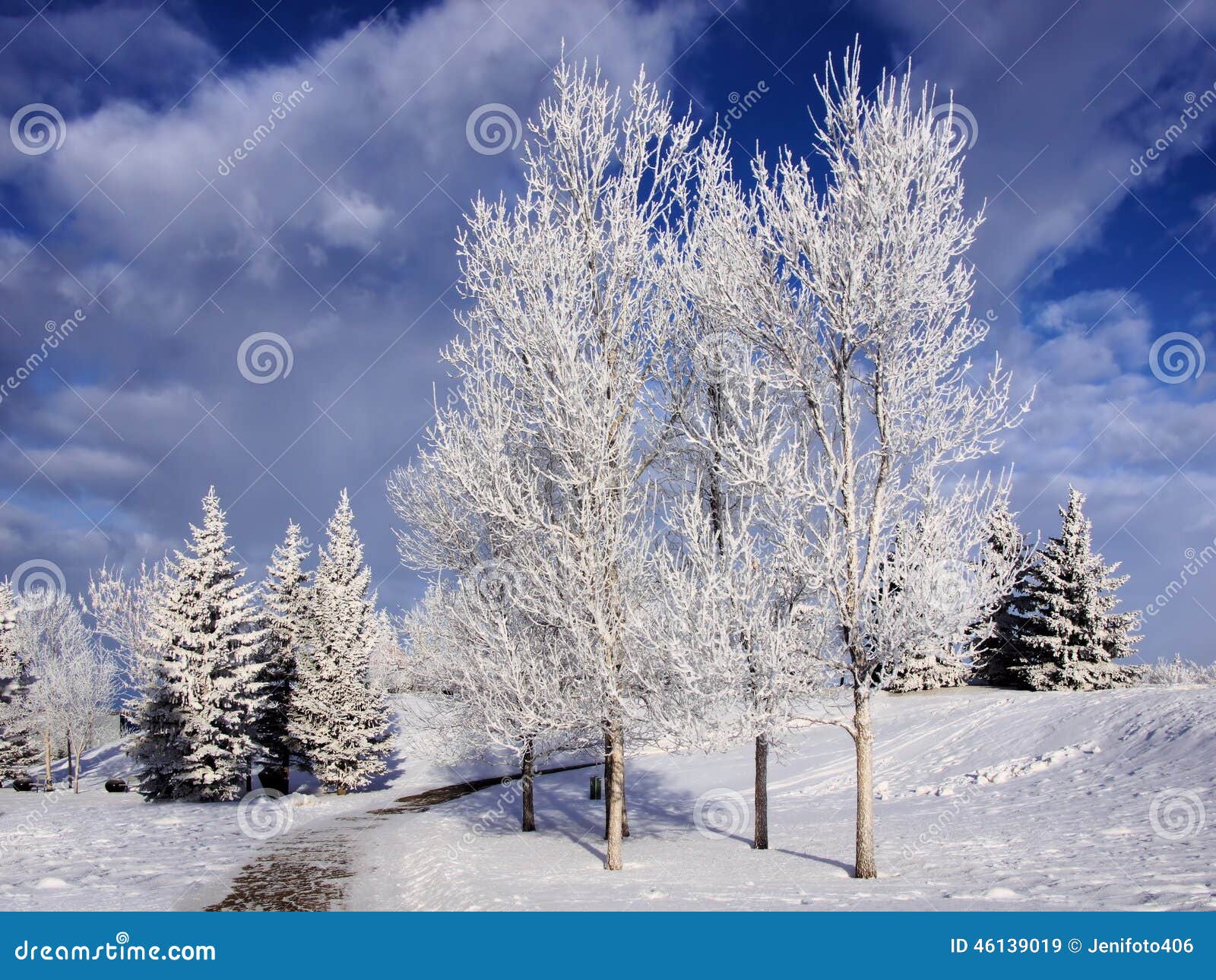 Winter Landscape Frosty Trees Stock Image - Image of nature, beautiful ...