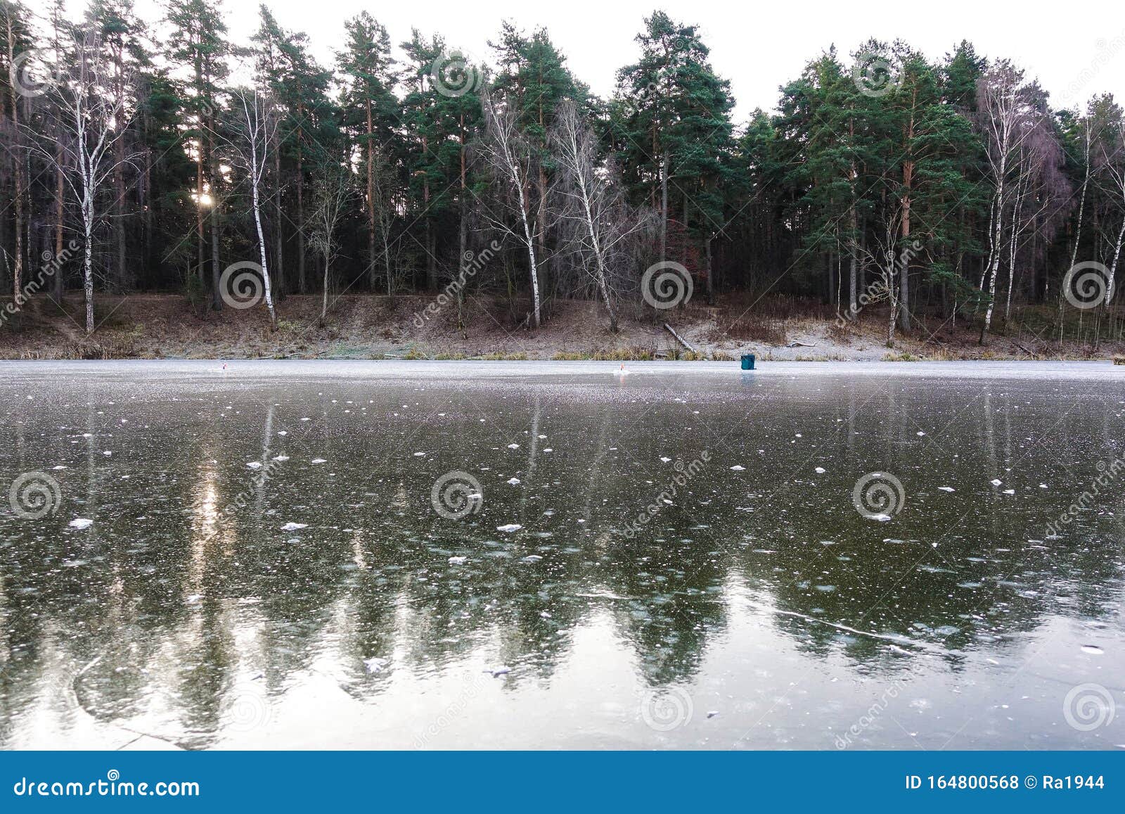 Winter Landscape. Frozen Forest Lake in the Winter. Ice Covered the ...