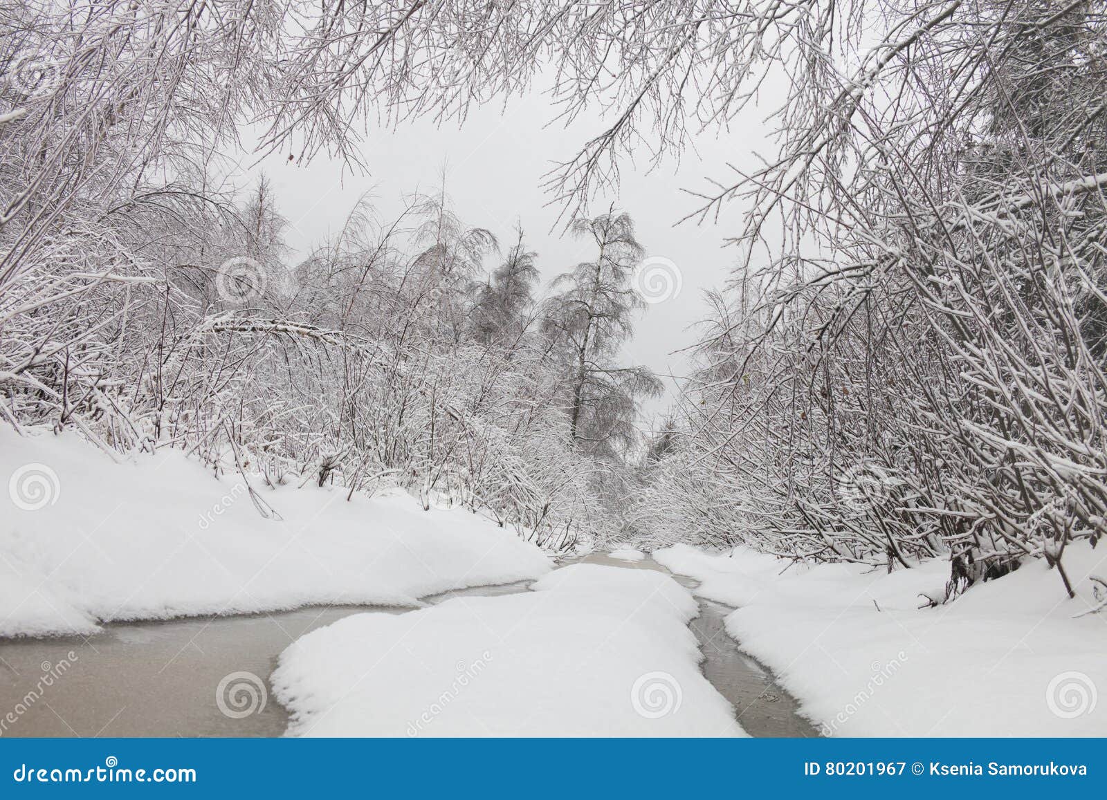 Winter Landscape. Frozen Forest Stock Image - Image of cold, landscape ...