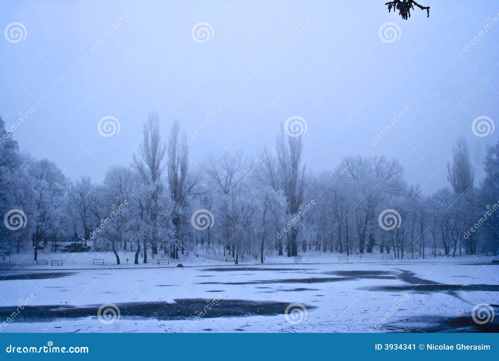 Winter Landscape Frozen Lake Stock Image - Image of cold, frozen: 3934341