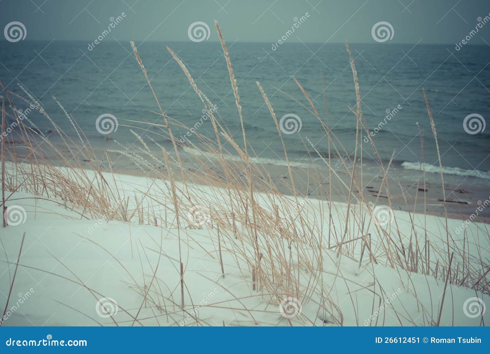 Winter Landscape with Frozen Sea Stock Image - Image of nature, cold ...