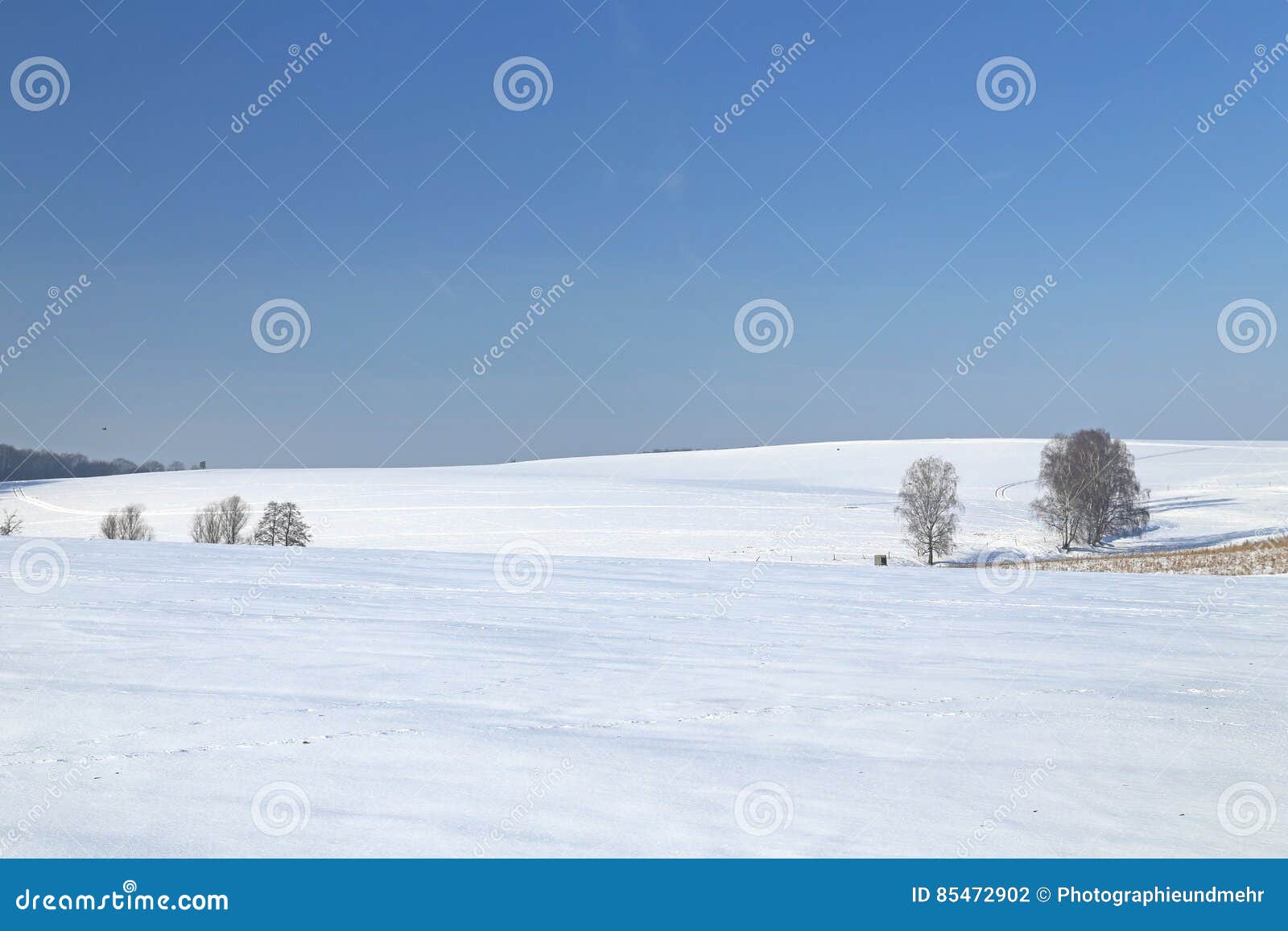 Winter Landscape in Germany Stock Photo - Image of landscape, tree ...