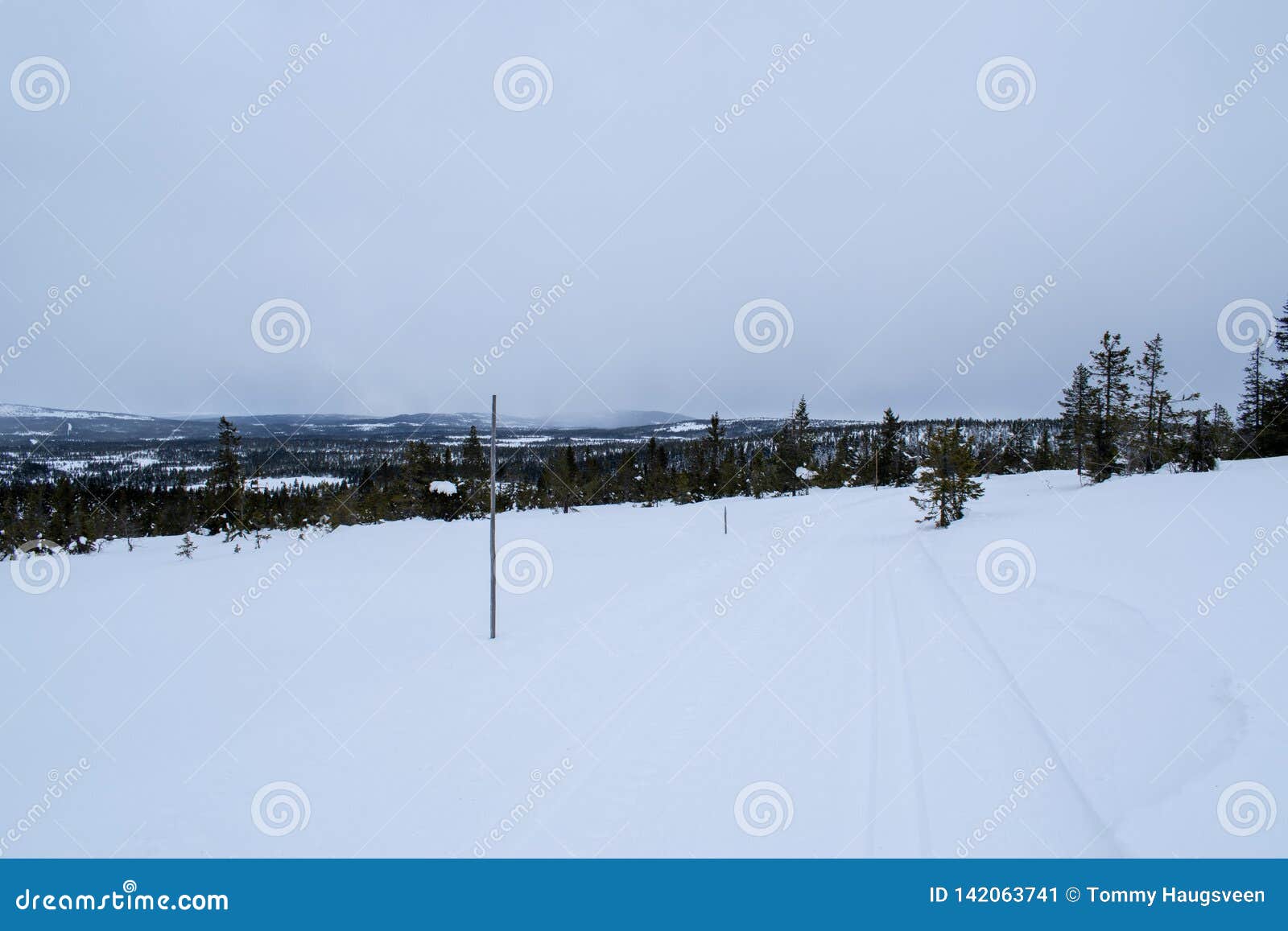 Winter Landscape in Hedmark County Norway Stock Image - Image of county ...