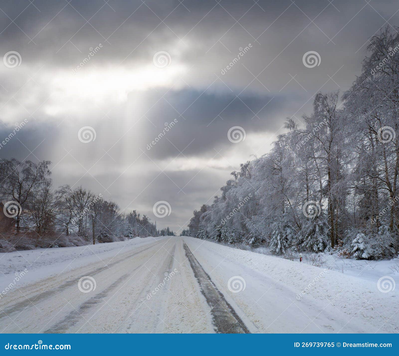 Winter Landscape with Road, Trees at Side of the Road, and Sunrays from ...