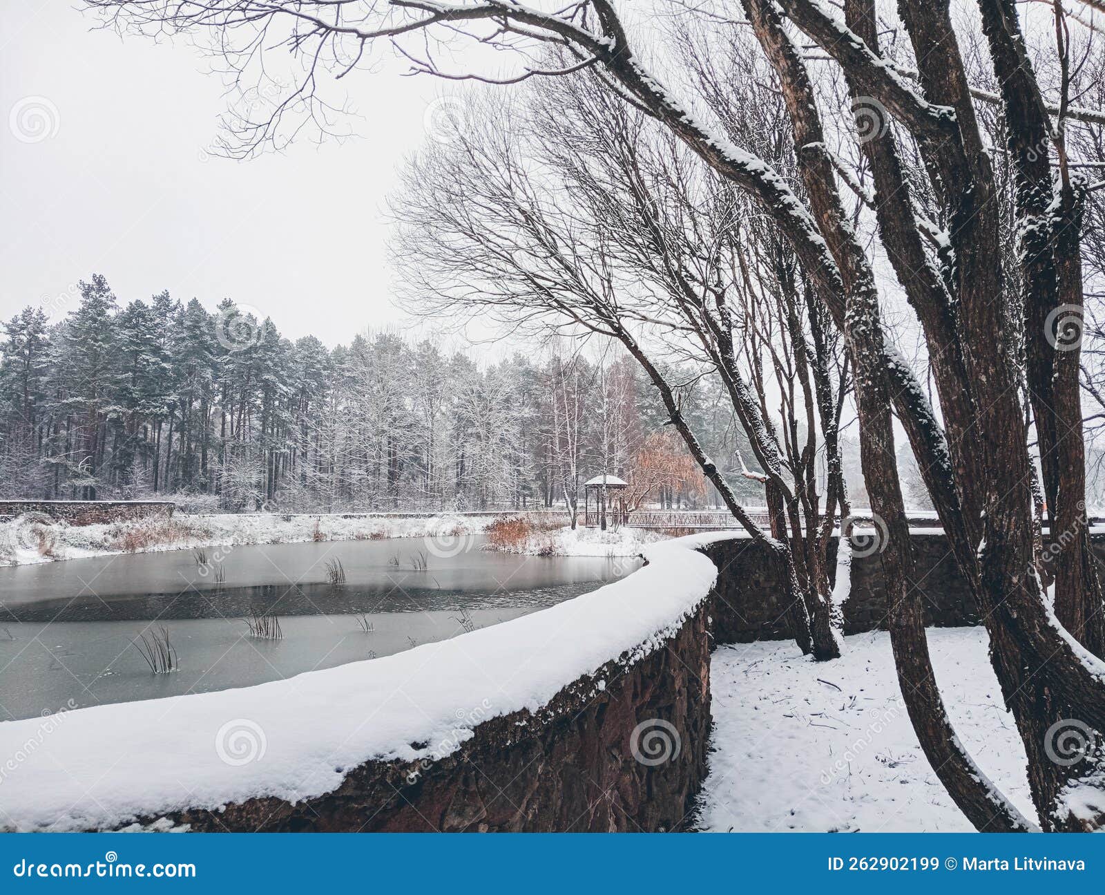 Winter Landscape: Idyllic Scene of the Pond Stock Image - Image of ...