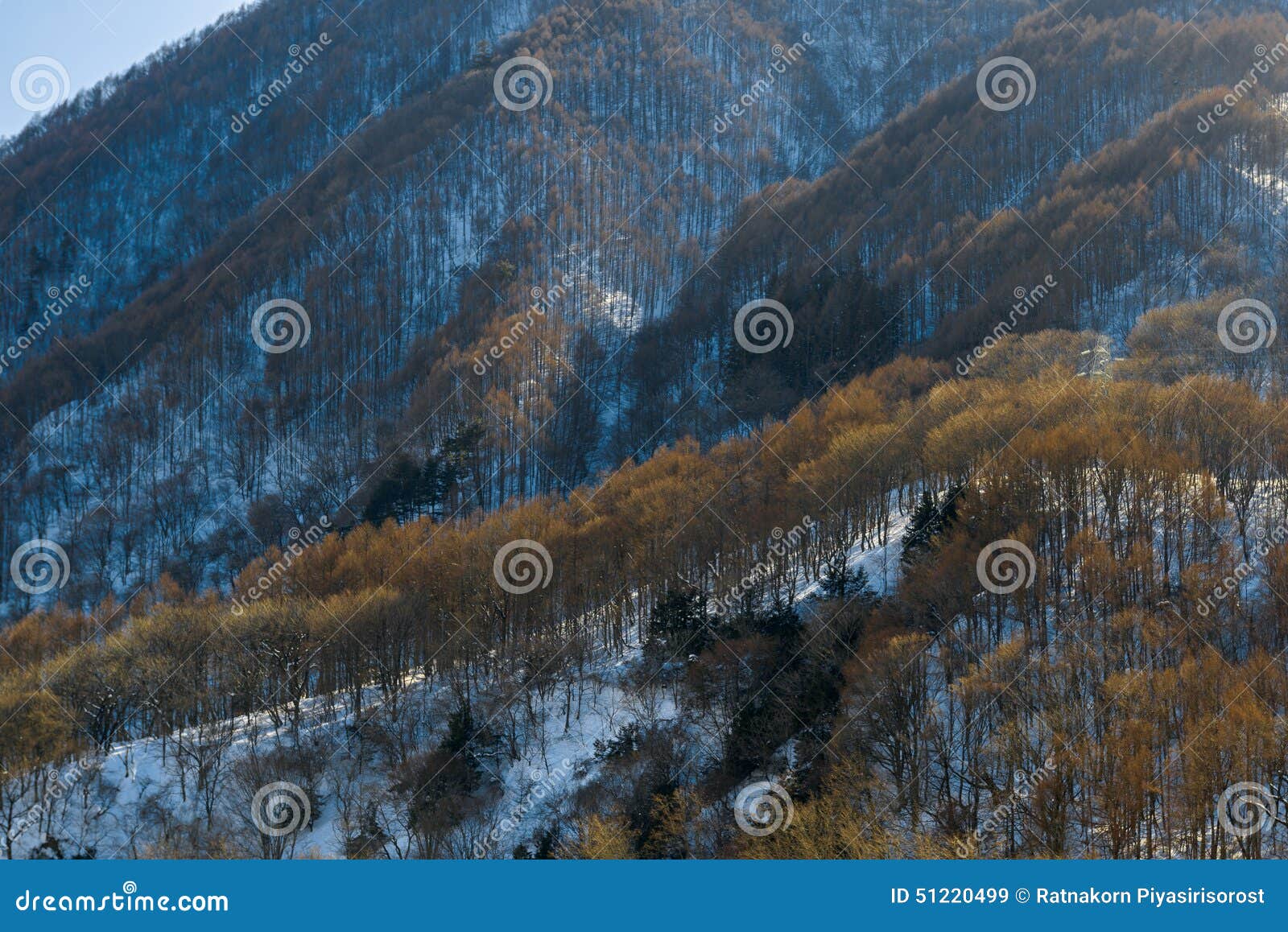 Winter Landscape in Japan stock image. Image of region - 51220499