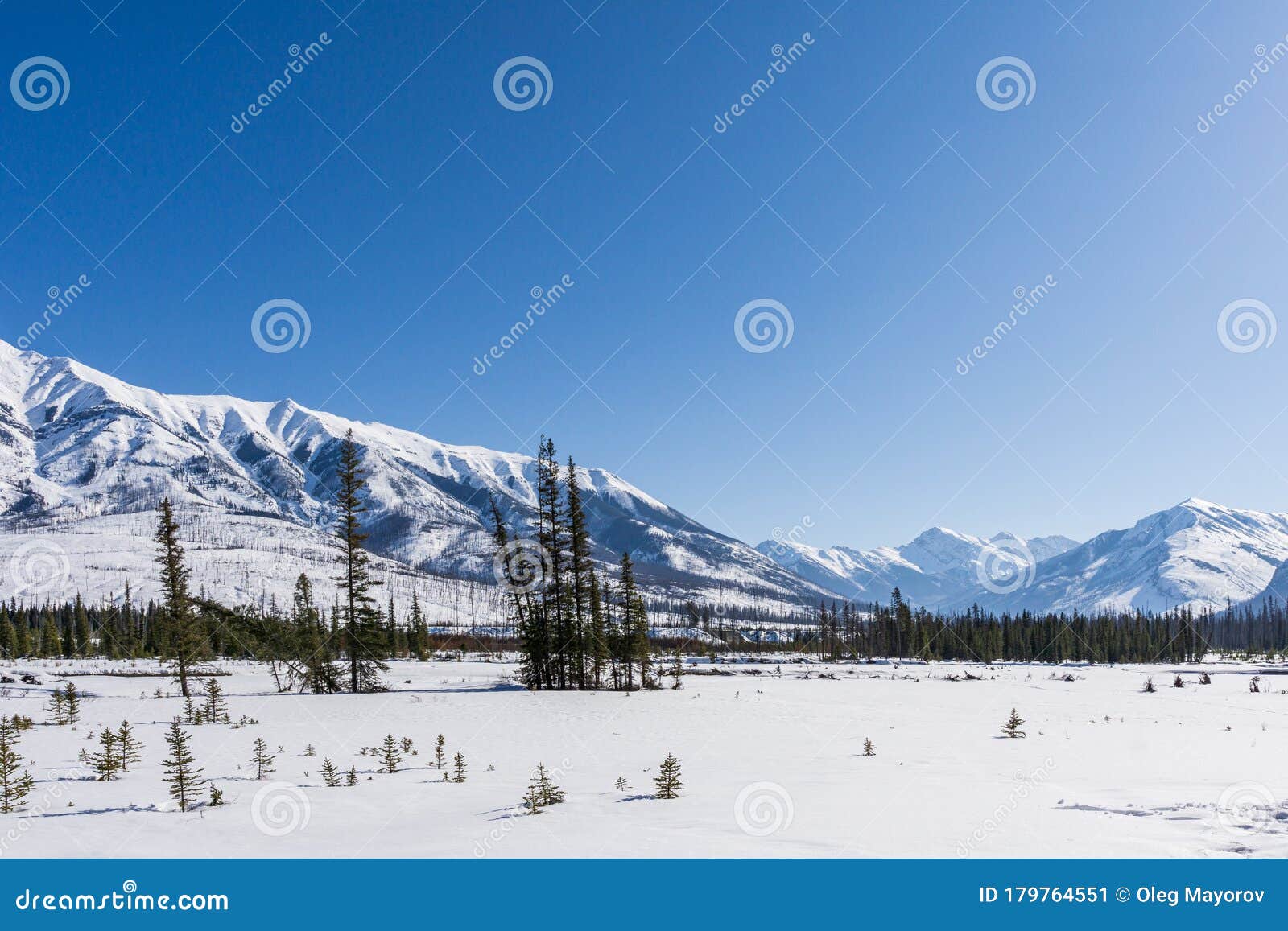 Winter Landscape Large Open Space in Snow Mountain Range Alberta Canada ...