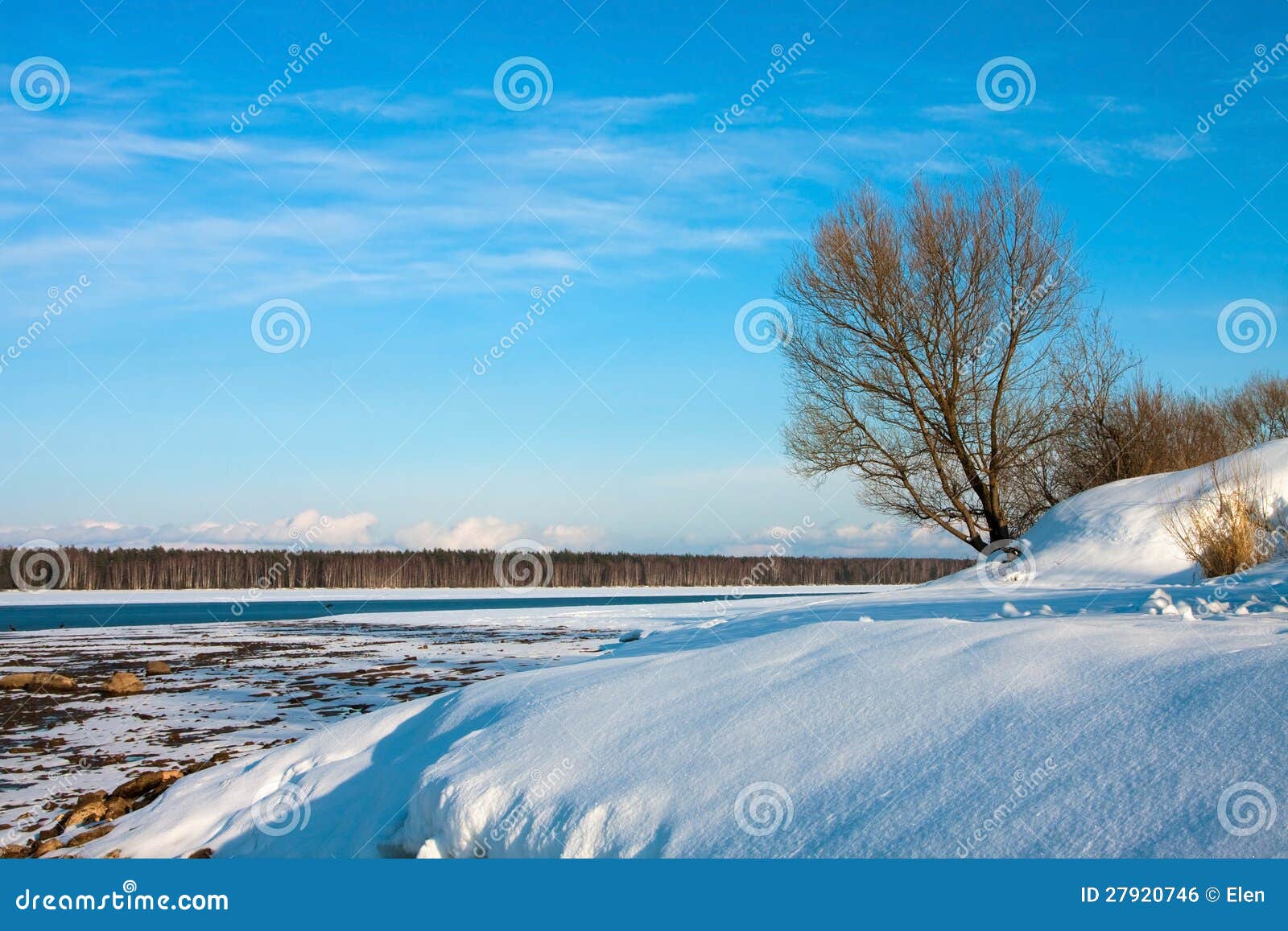 Winter Landscape with Lonely Tree Stock Photo - Image of frost ...