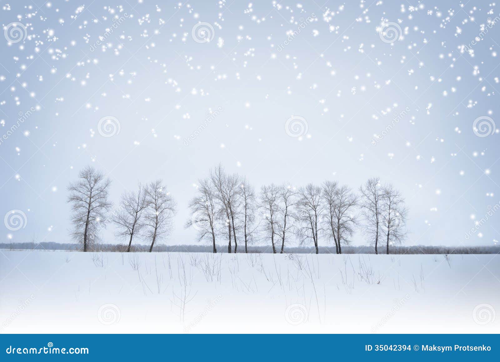 Winter Landscape with Lonely Trees and Snow Stock Photo - Image of ...