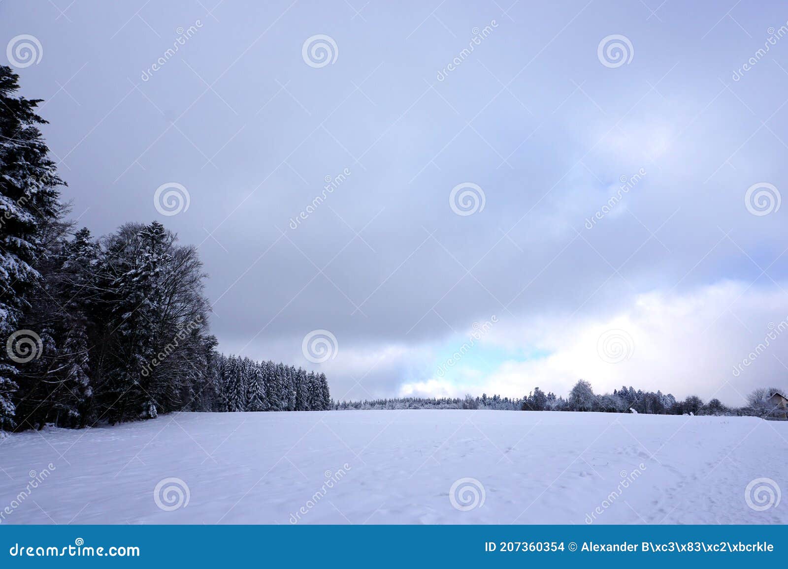 Winter Landscape with Lots of Snow and Snow Covered Trees Stock Photo ...