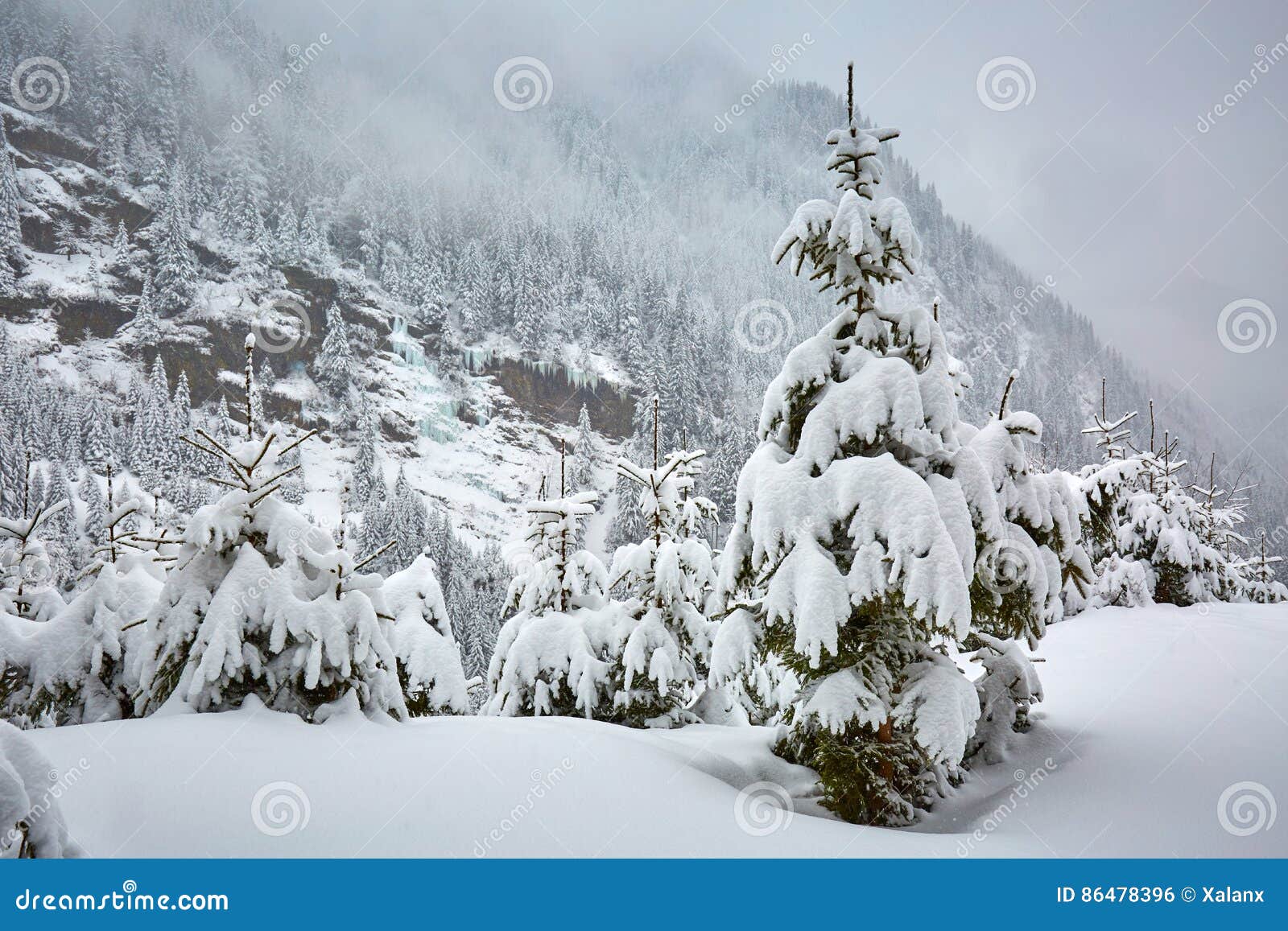 Winter Landscape in the Mountains Stock Photo - Image of frost ...