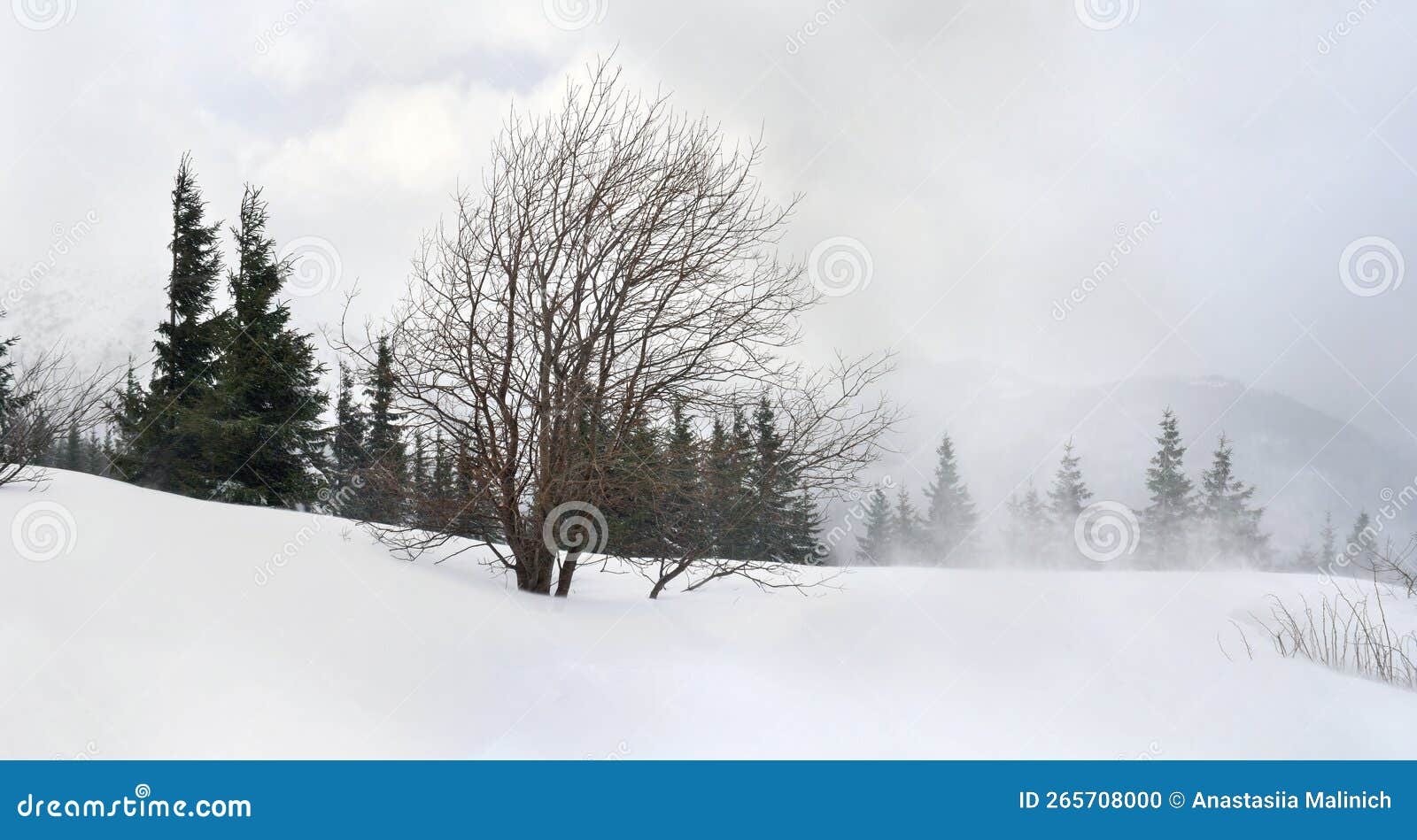 Winter Landscape of Mountains with Trees in Snow during Snowfall and ...