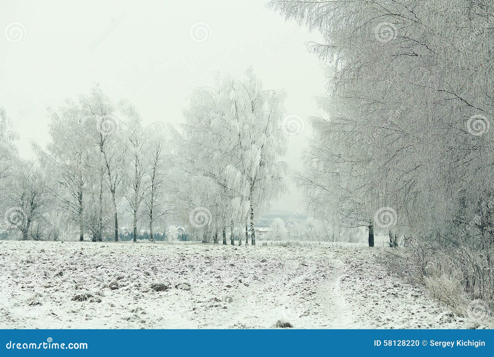 Winter landscape stock photo. Image of christmas, copy - 58128220