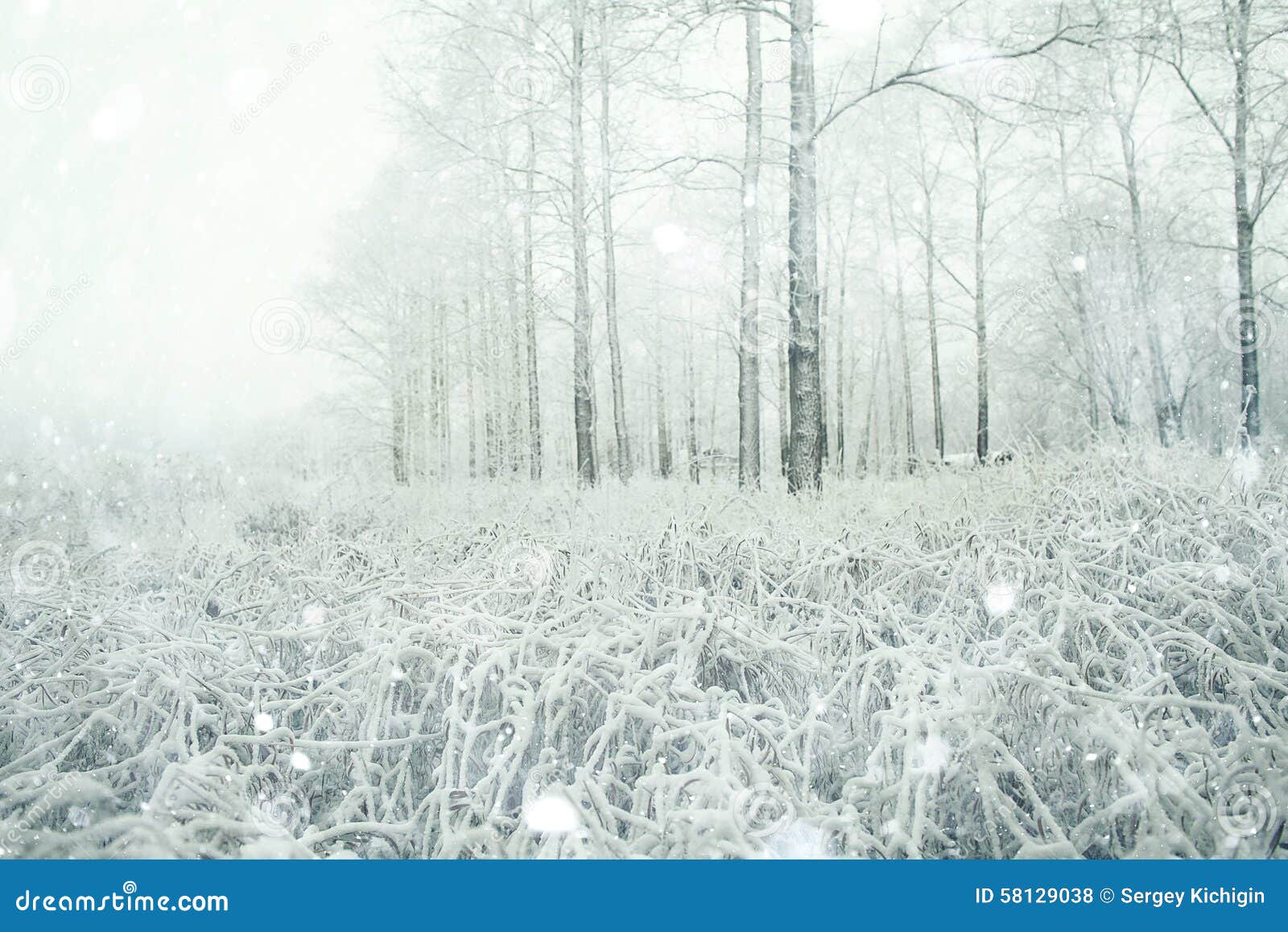Winter landscape stock photo. Image of snow, beauty, blue - 58129038