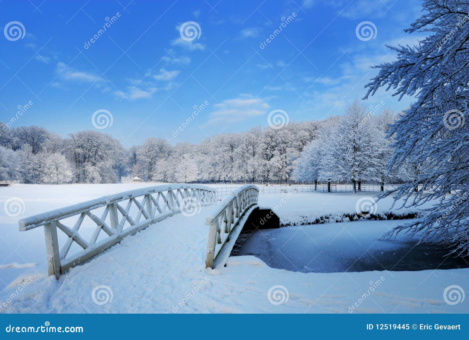 Winter Landscape in the Netherlands Stock Image - Image of overveen ...