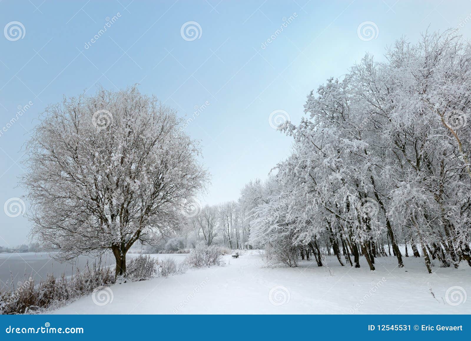 Winter Landscape in the Netherlands Stock Image - Image of scenery ...