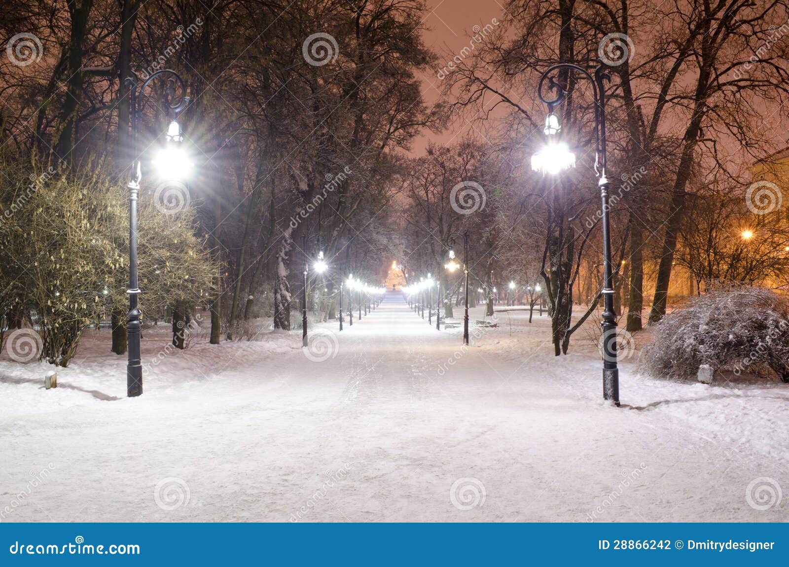 Winter Landscape at the Night - Alley in the Park Stock Photo - Image ...