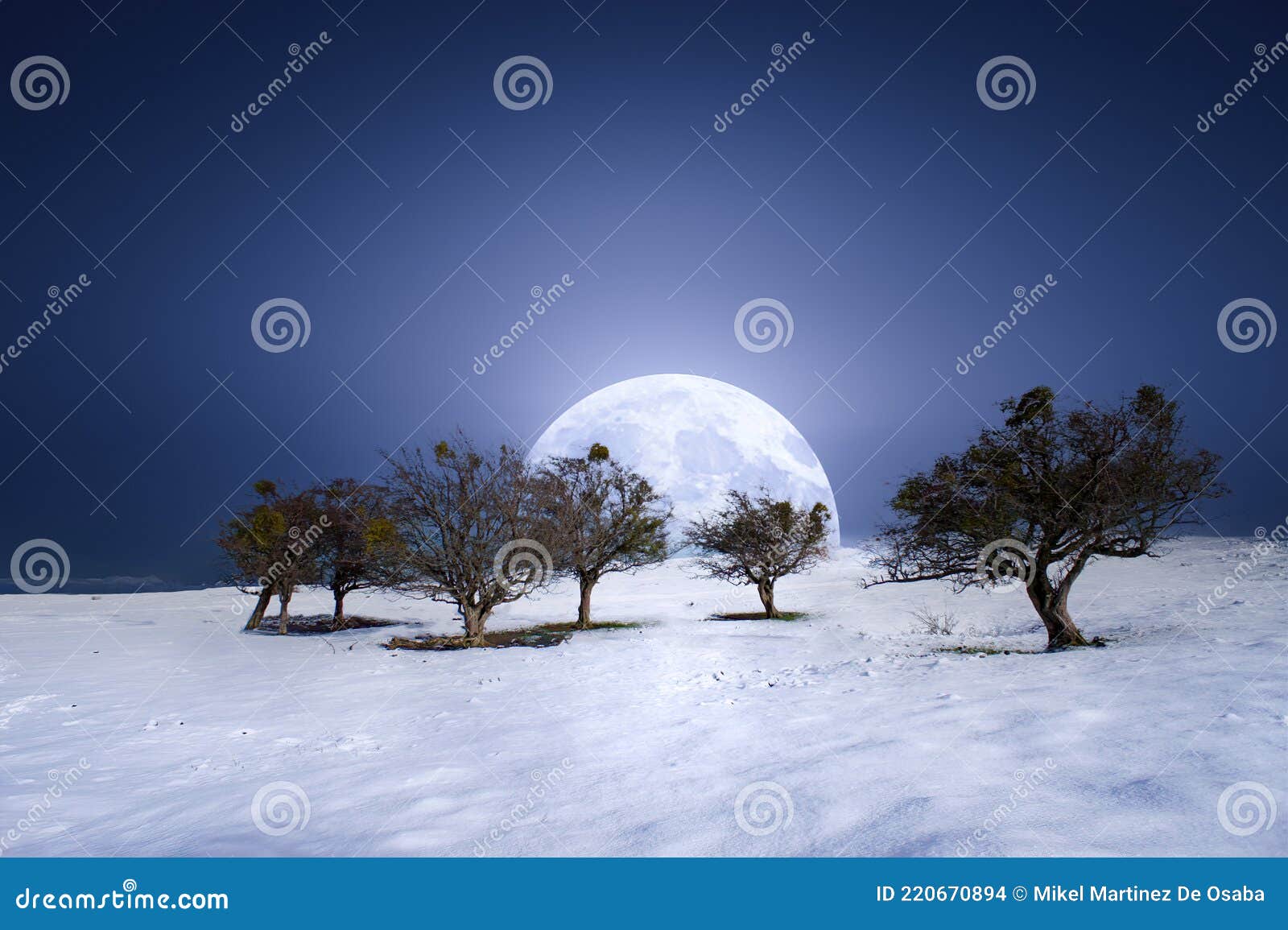 Beautiful Winter Landscape at Night with Forest in Snow and Full Moon ...