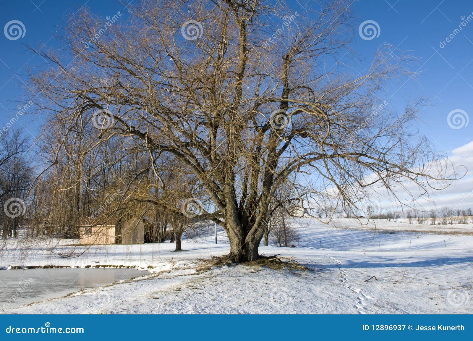 Winter Landscape in Ohio stock image. Image of landscape - 12896937