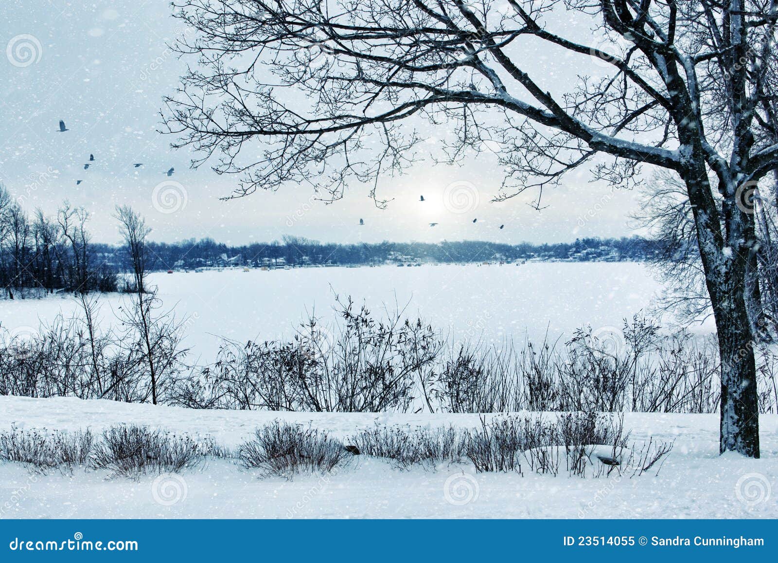 Winter Landscape Overlooking a Lake Stock Image - Image of tree, park ...