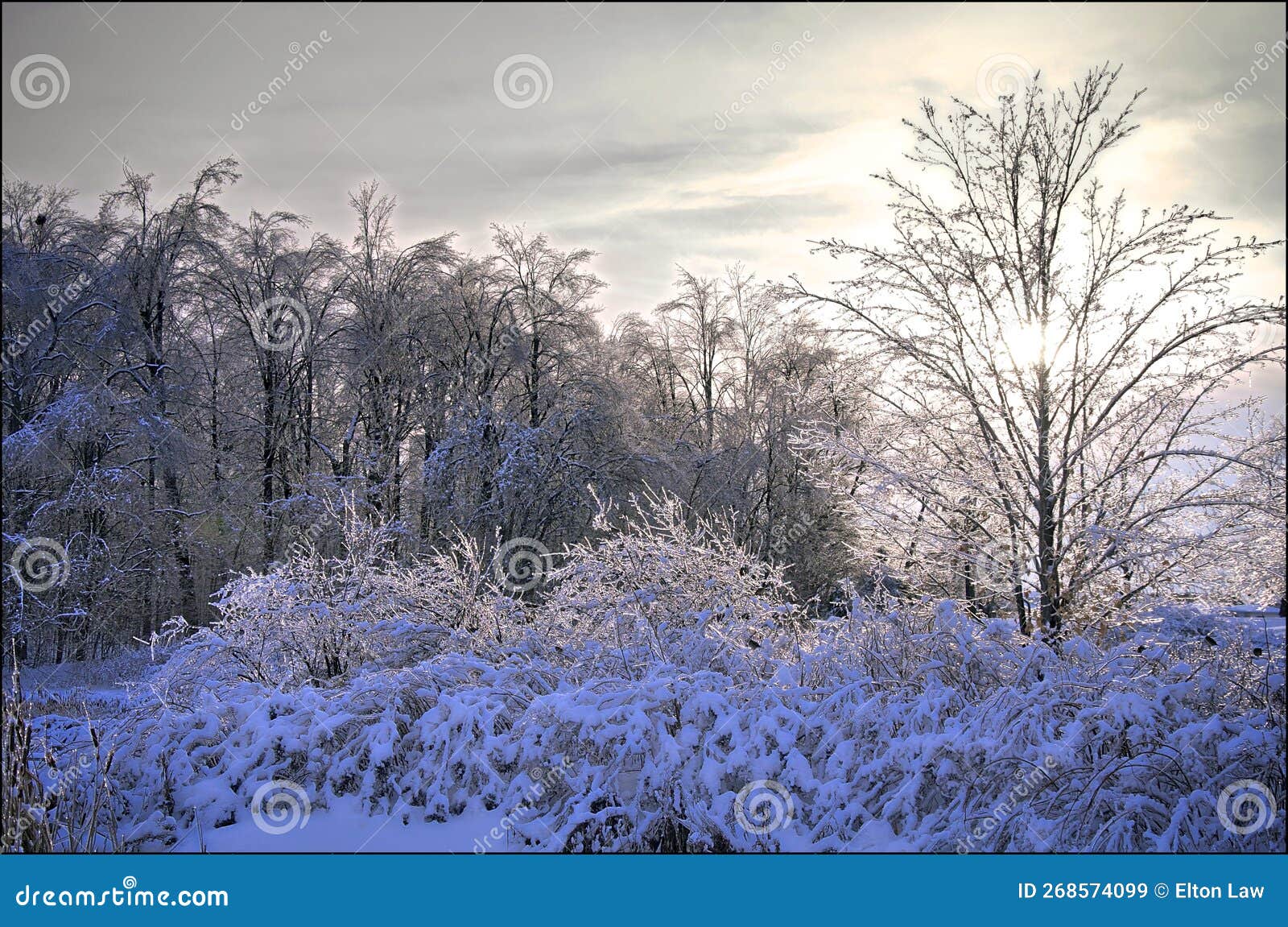 Winter Landscape in the Park after a Snowstorm Stock Image - Image of ...