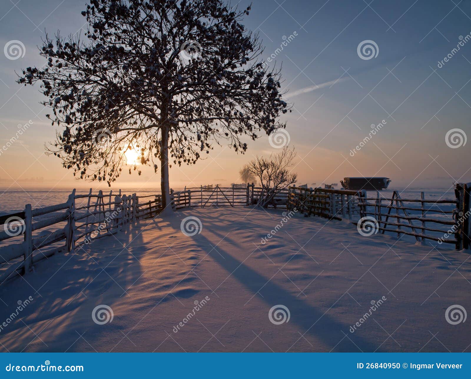 Winter Landscape in Pasture Stock Photo - Image of light, backlit: 26840950