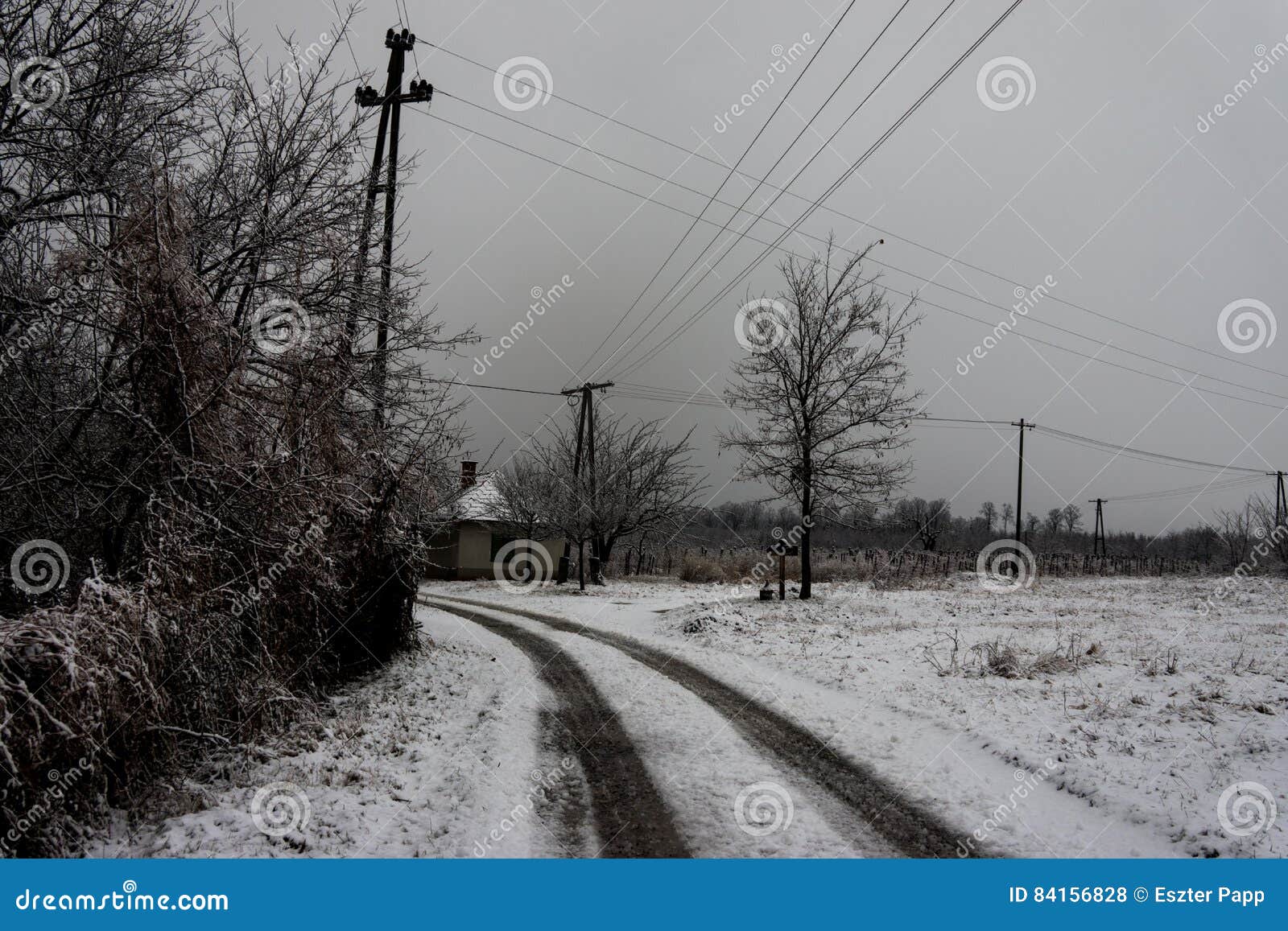 Winter Landscape with Power Lines Stock Photo - Image of cloud, season ...