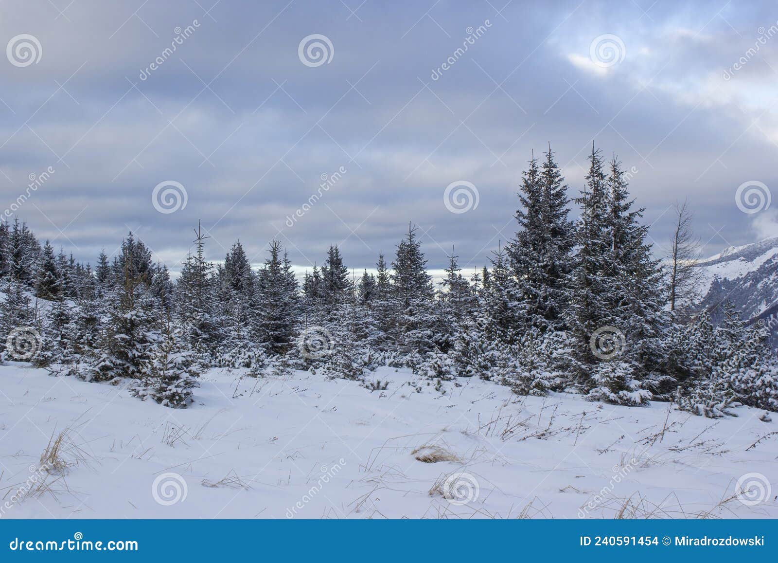 Winter Landscape - Rax Mountain in the Austrian Alps, Austria Stock ...