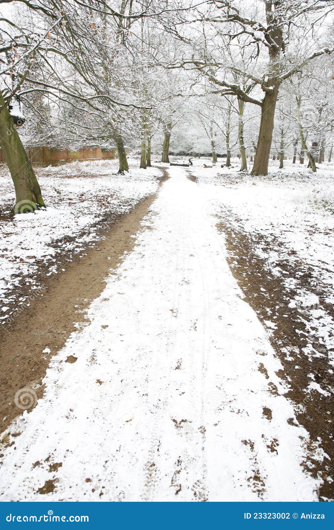Winter Landscape of Richmond Park Stock Photo - Image of nature ...