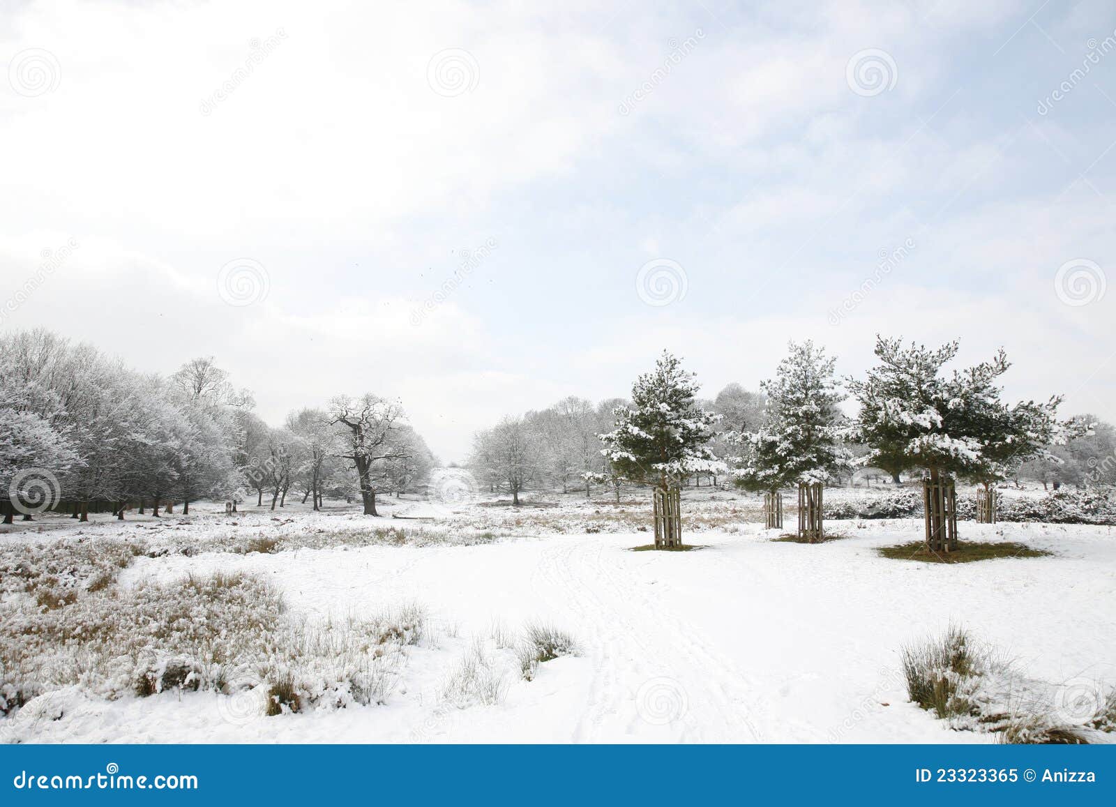 Winter Landscape of Richmond Park Stock Image - Image of west, richmond ...