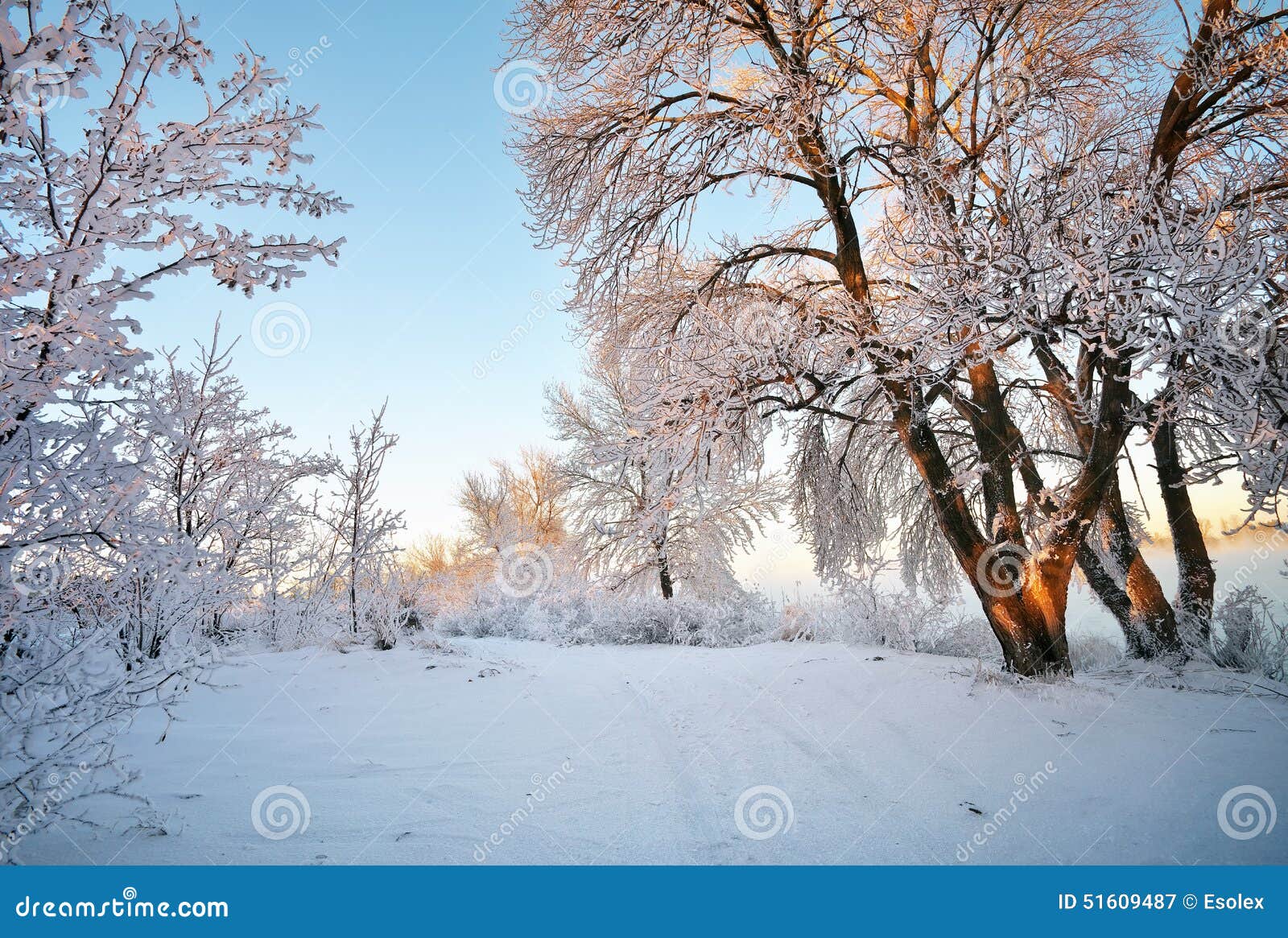 Winter Landscape. Rime on Trees Stock Image - Image of light, covered ...