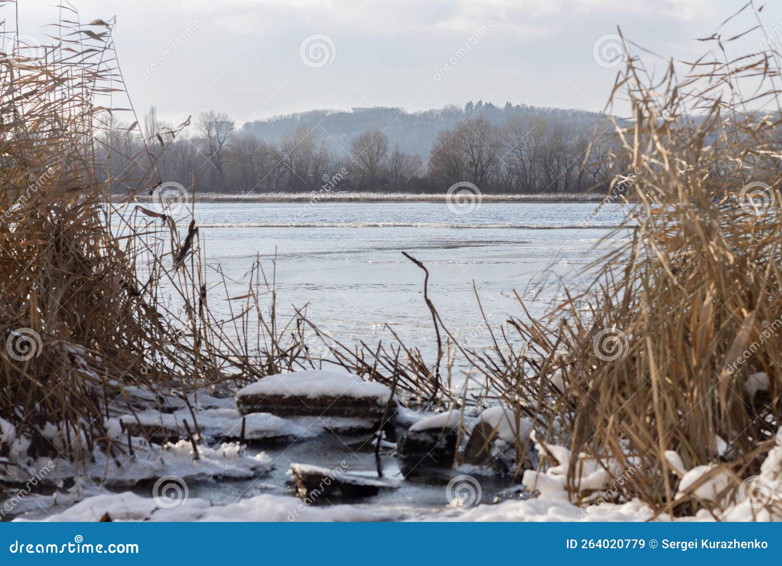 Winter Landscape of the River Bank. Winter River Concept Stock Image ...