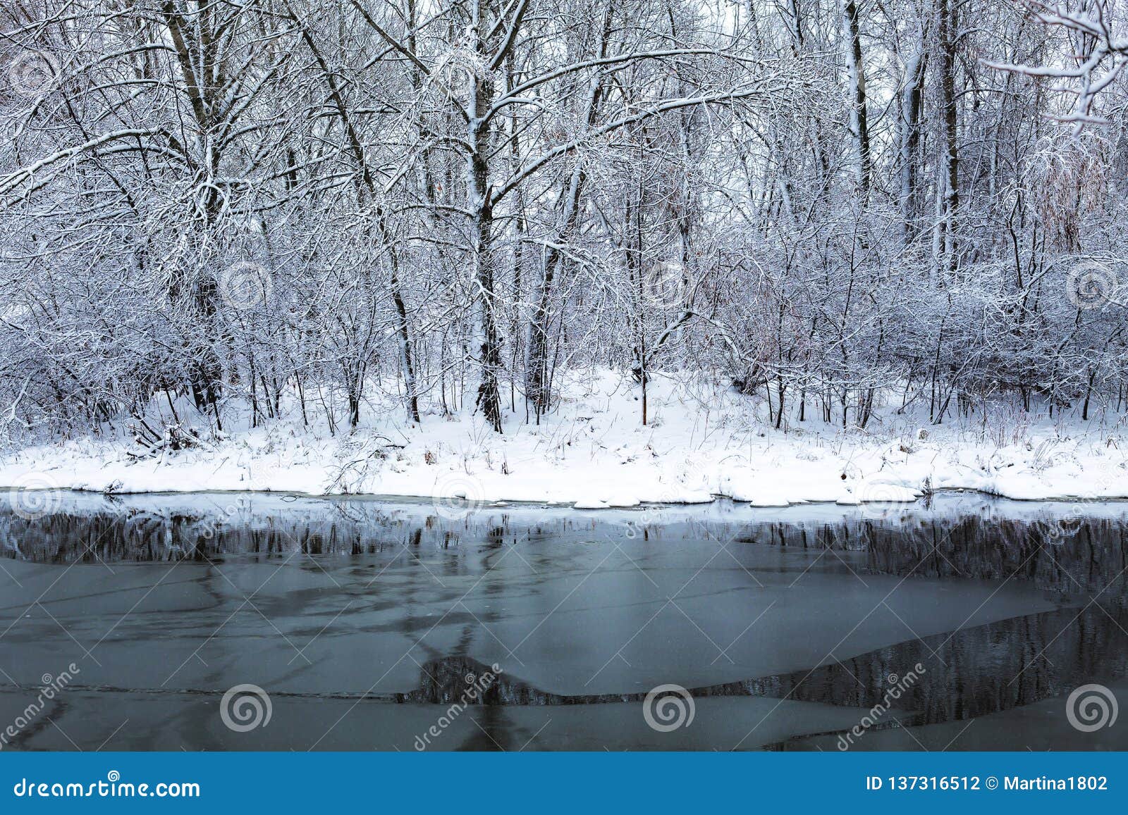 Winter Landscape by the River Stock Photo - Image of beautiful, snowy ...