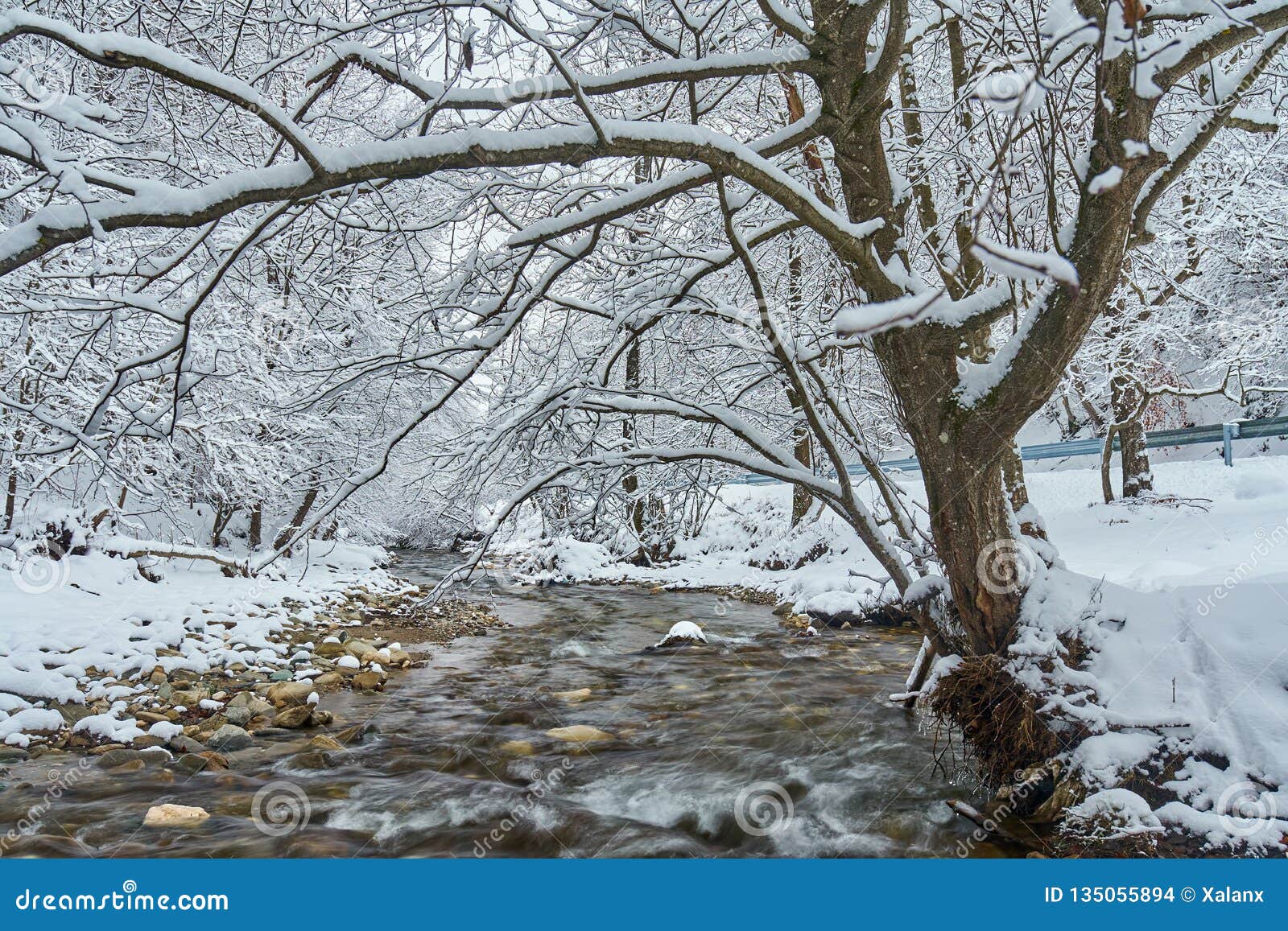 Winter Landscape with River Stock Photo - Image of river, lansdcape ...