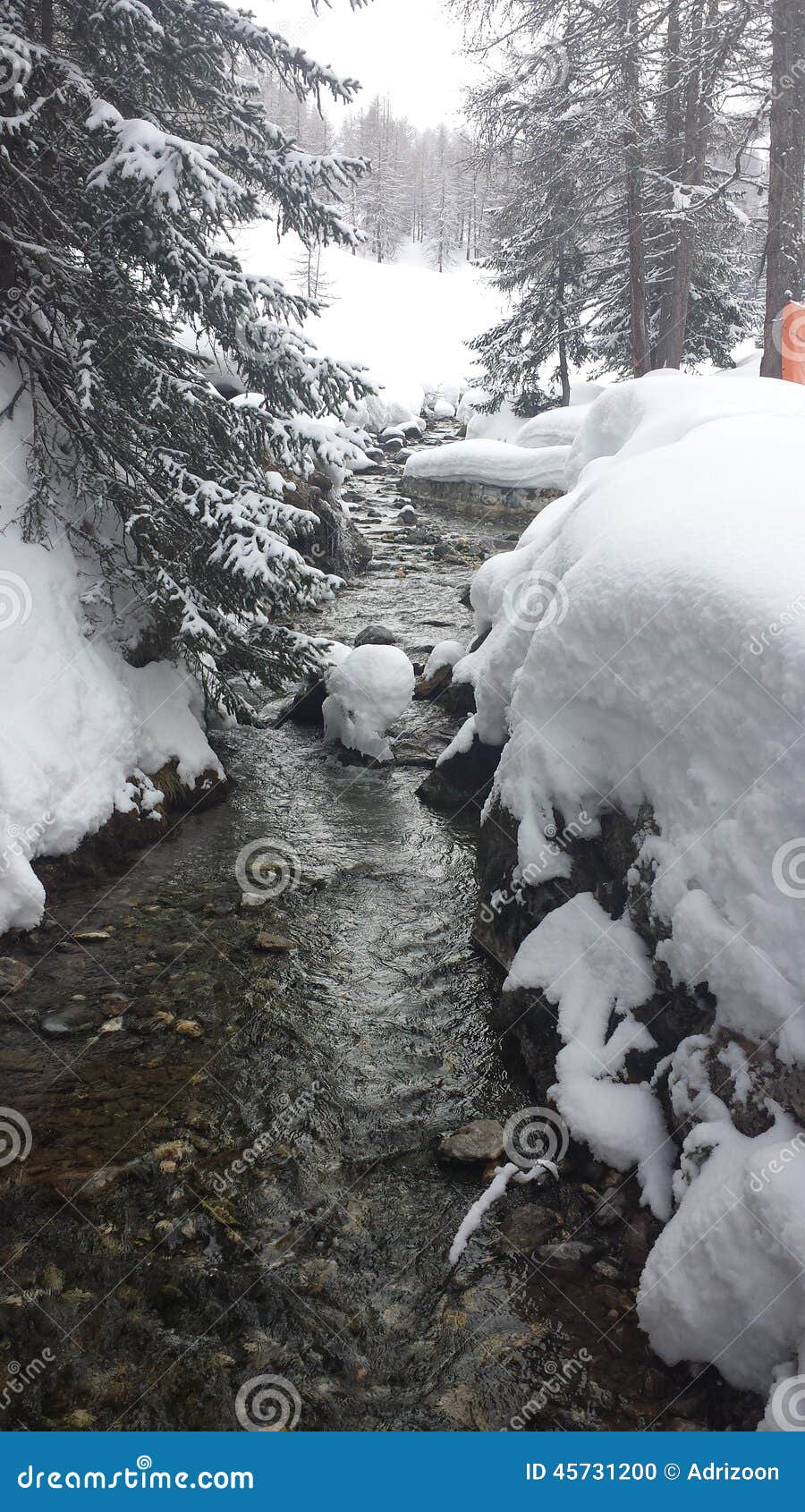 River Rak Meandering Through Rakov Skocjan Famous And Beautiful Karst ...