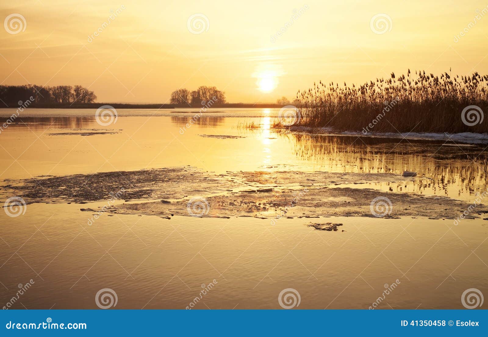 12,208 Reeds Sky Sunset Stock Photos - Free & Royalty-Free Stock Photos ...