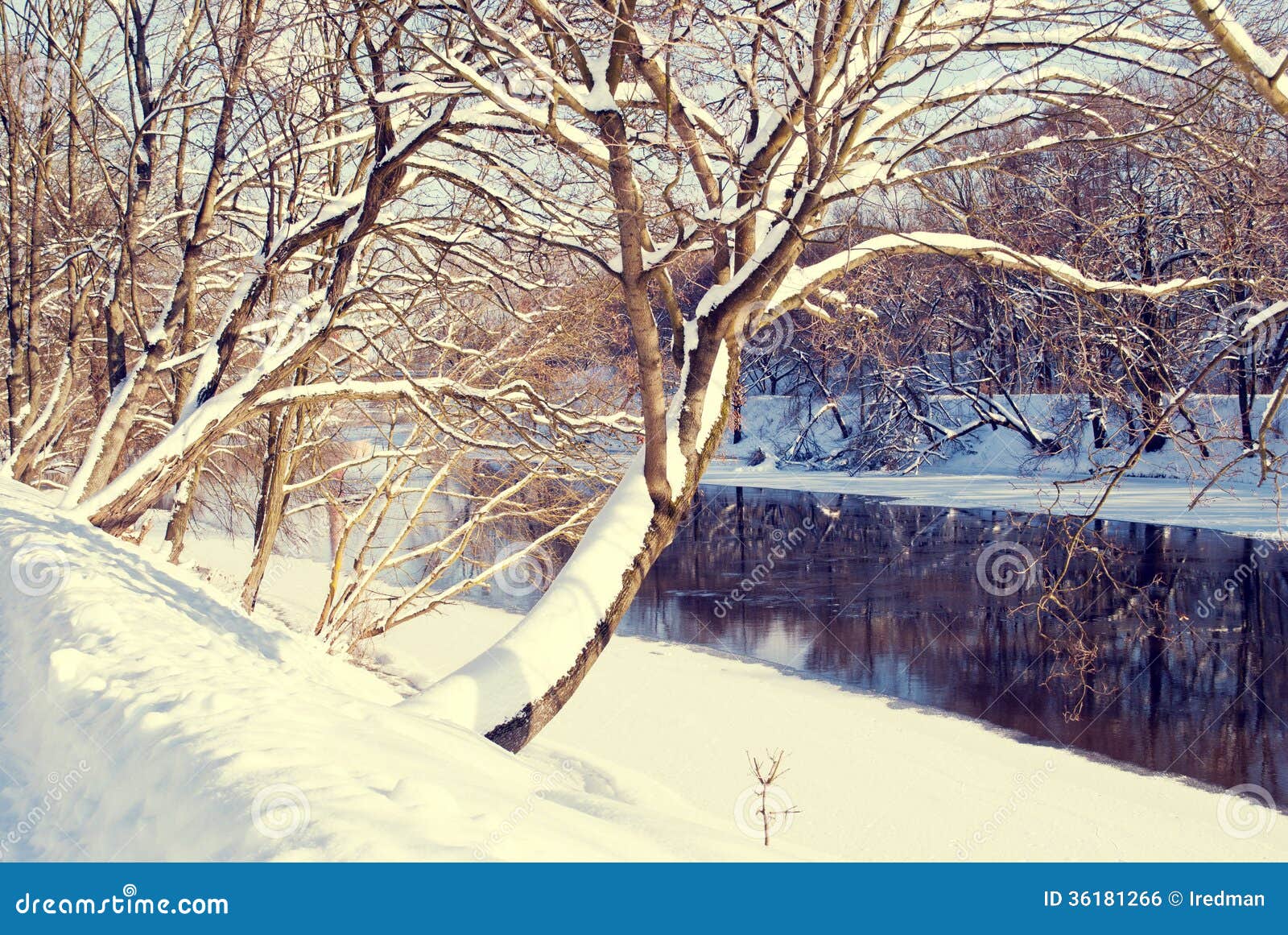 Winter landscape stock photo. Image of forest, nature - 36181266