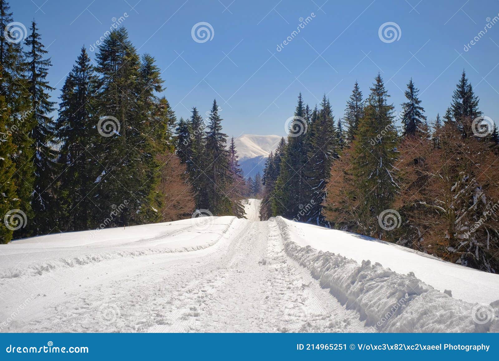Winter Landscape. the Road To the Garbova Chalet Stock Image - Image of ...